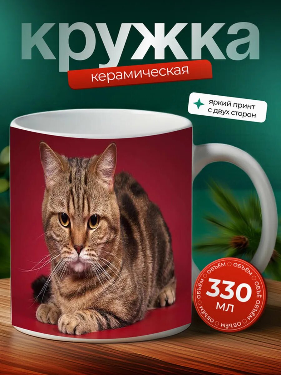 Кружка Американская жесткошерстная кошка 50,