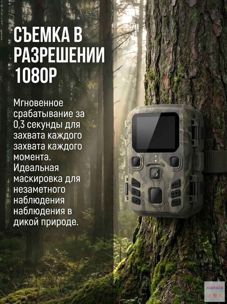 Xuekeke Фотоловушка