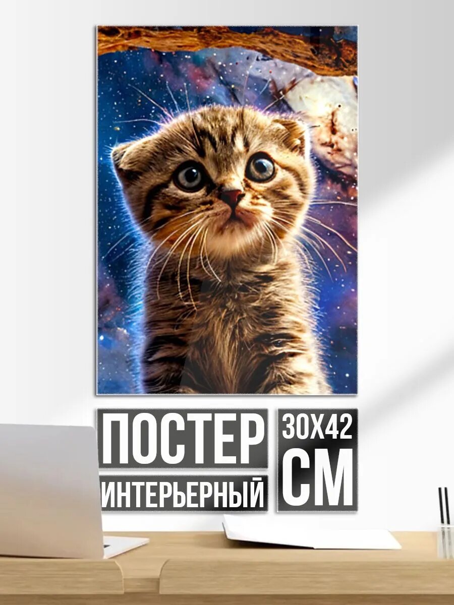 Постер на стену Шотландская вислоухая кошка в космосе