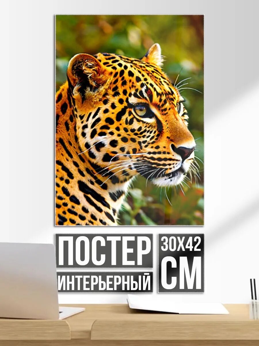 Постер на стену Большой леопард