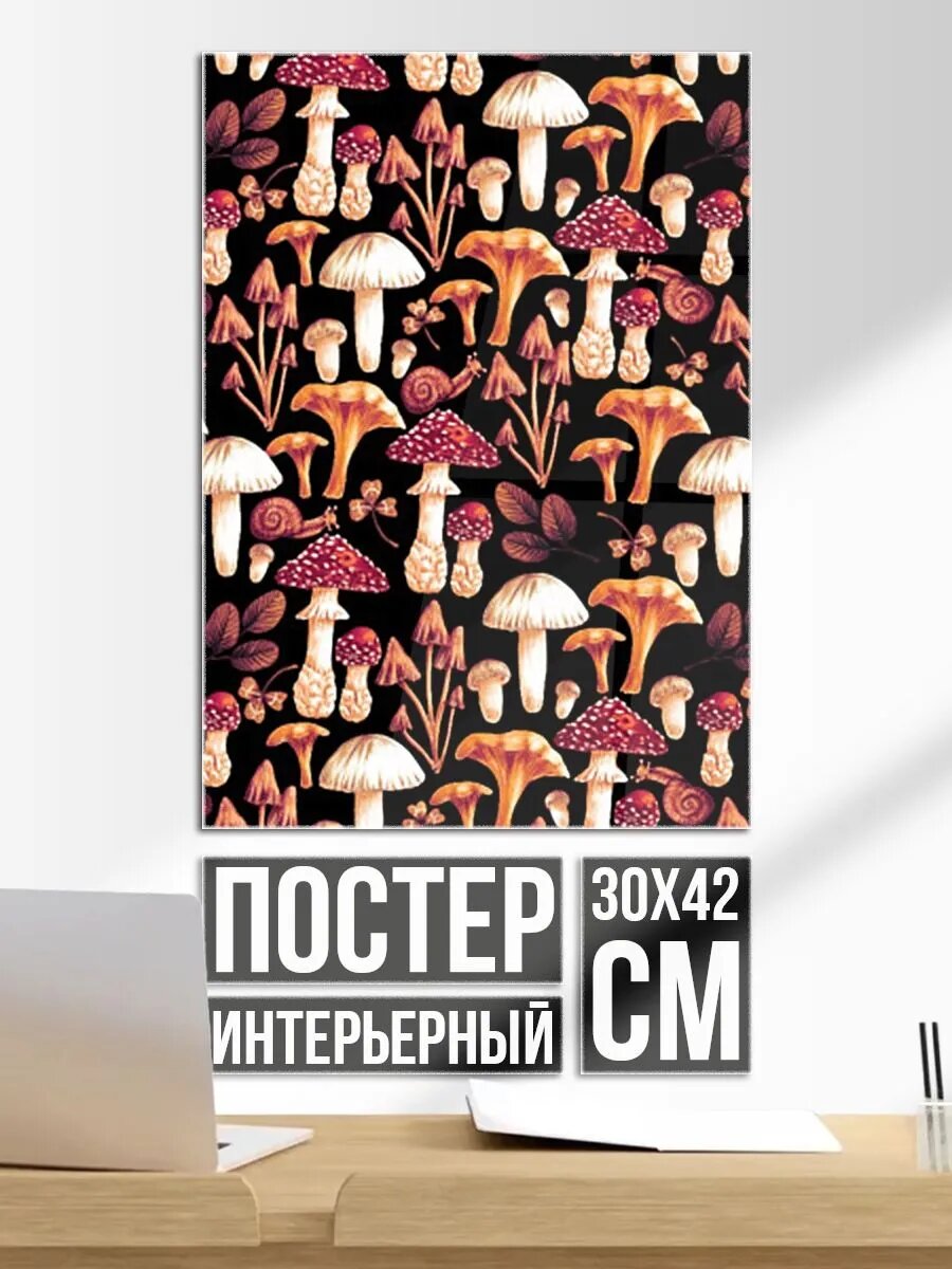 Постер на стену Грибы в сепии