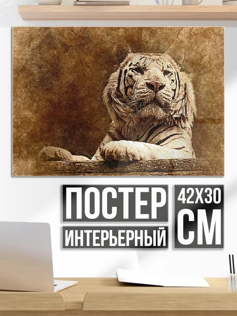 Плакат постер Белый тигр в камне