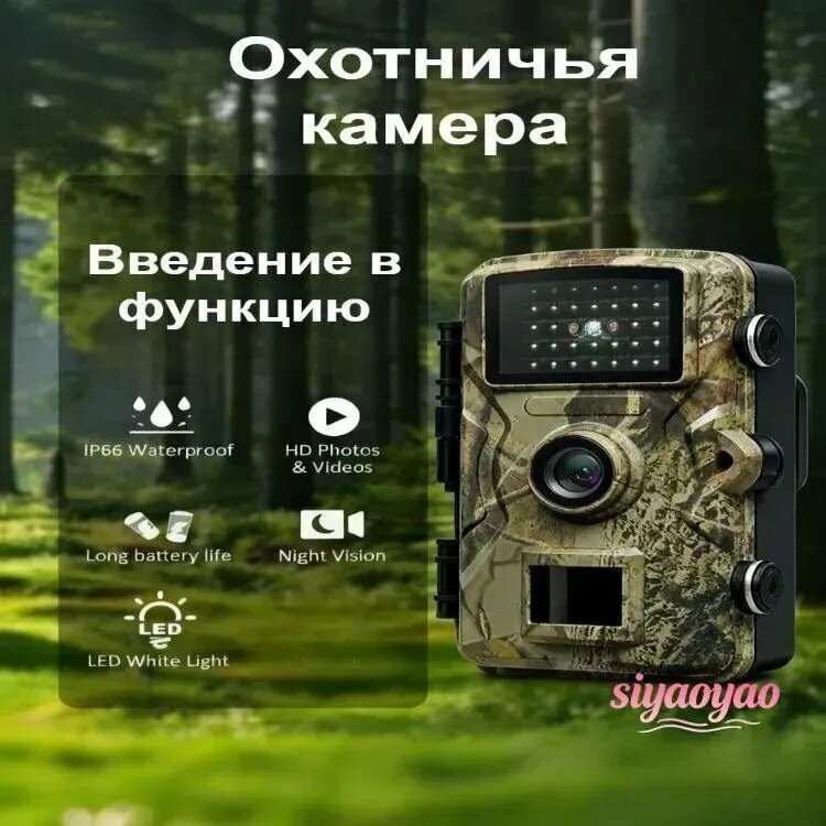Фотоловушка