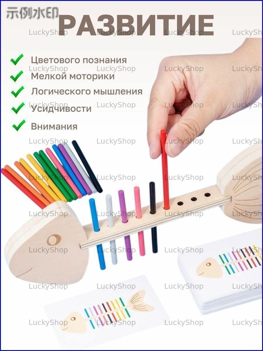 Сортер