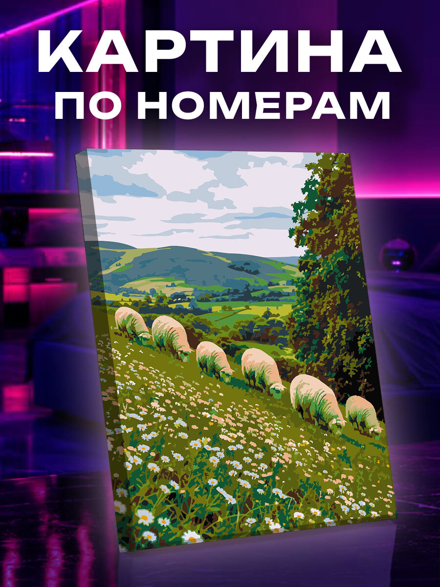 Картина по номерам Овцы среди ромашковых холмов