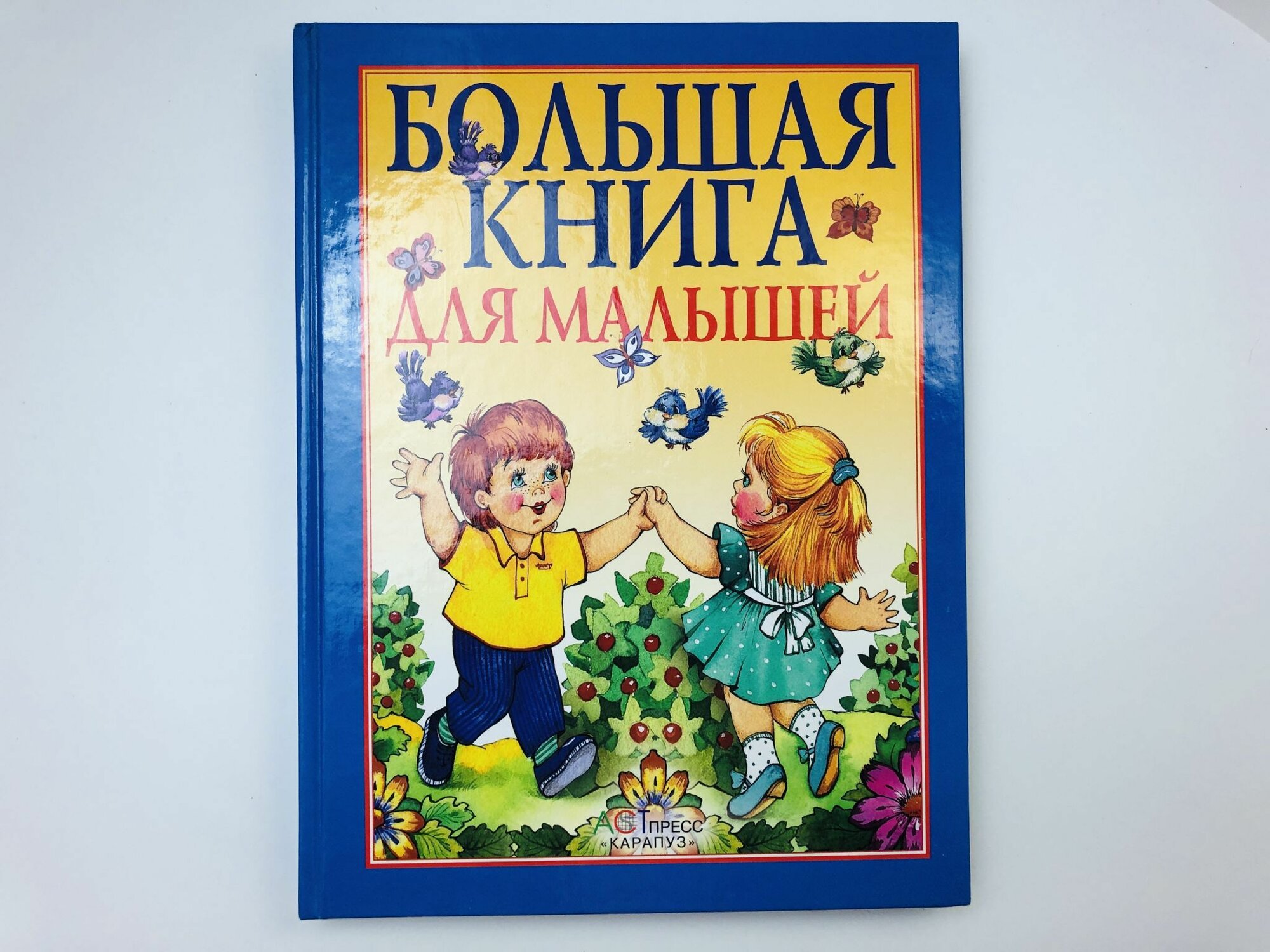 Большая книга для малышей. Я и мир вокруг меня