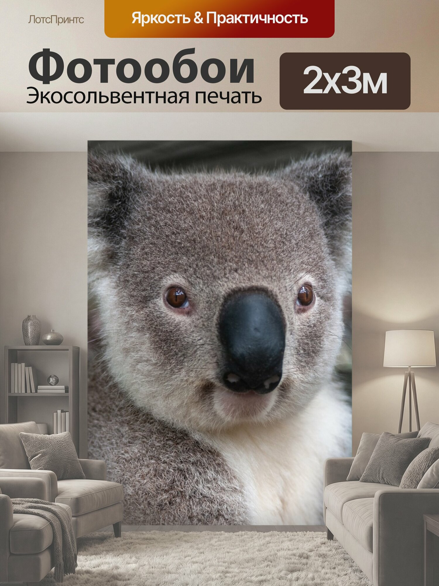 Фотообои "Австралия, животные, коала" 200x300 см. экосольвентная печать