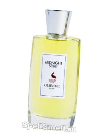 Olibere Parfums Midnight Spirit eau de parfum мужской 50 мл / Олибере парфюм Миднайт Спирит