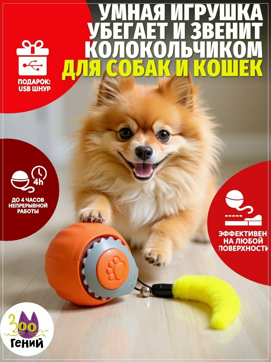 Умный мячик USB для кошек и собак мелких пород с хвостиком и колокольчиком автоматический (оранжевый, 6см) - интерактивная игрушка для кошек LED-подсветка и зарядка USB Type-C