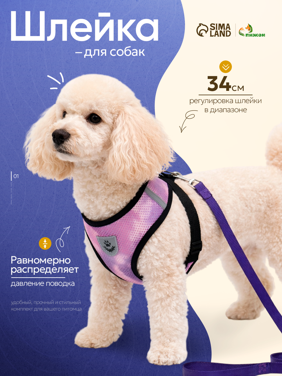 Комплект для собак 3-5 кг, размер S, поводок 120 х 1,5 см, ОШ 24 см, ОГ 34 см