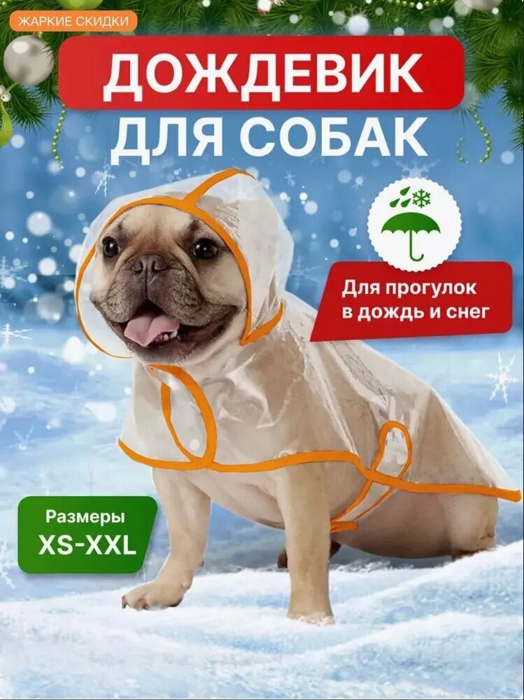 Плащ-дождевик и одежда для собак любых пород