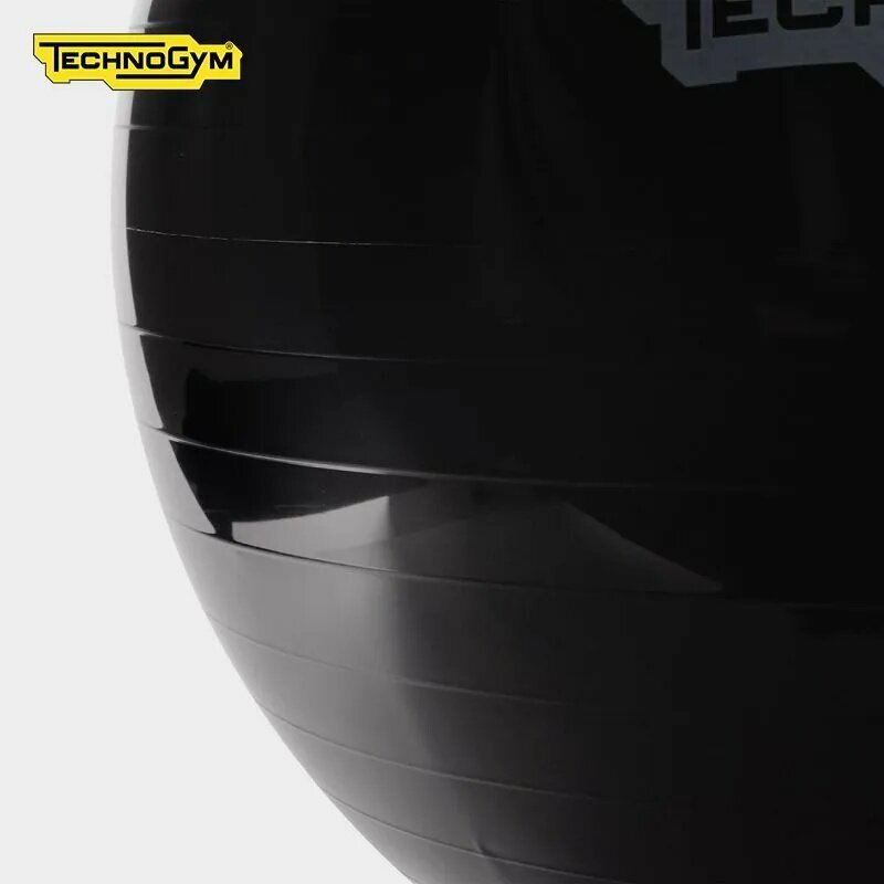 Technogym Фитбол, 1500 г — фото 1