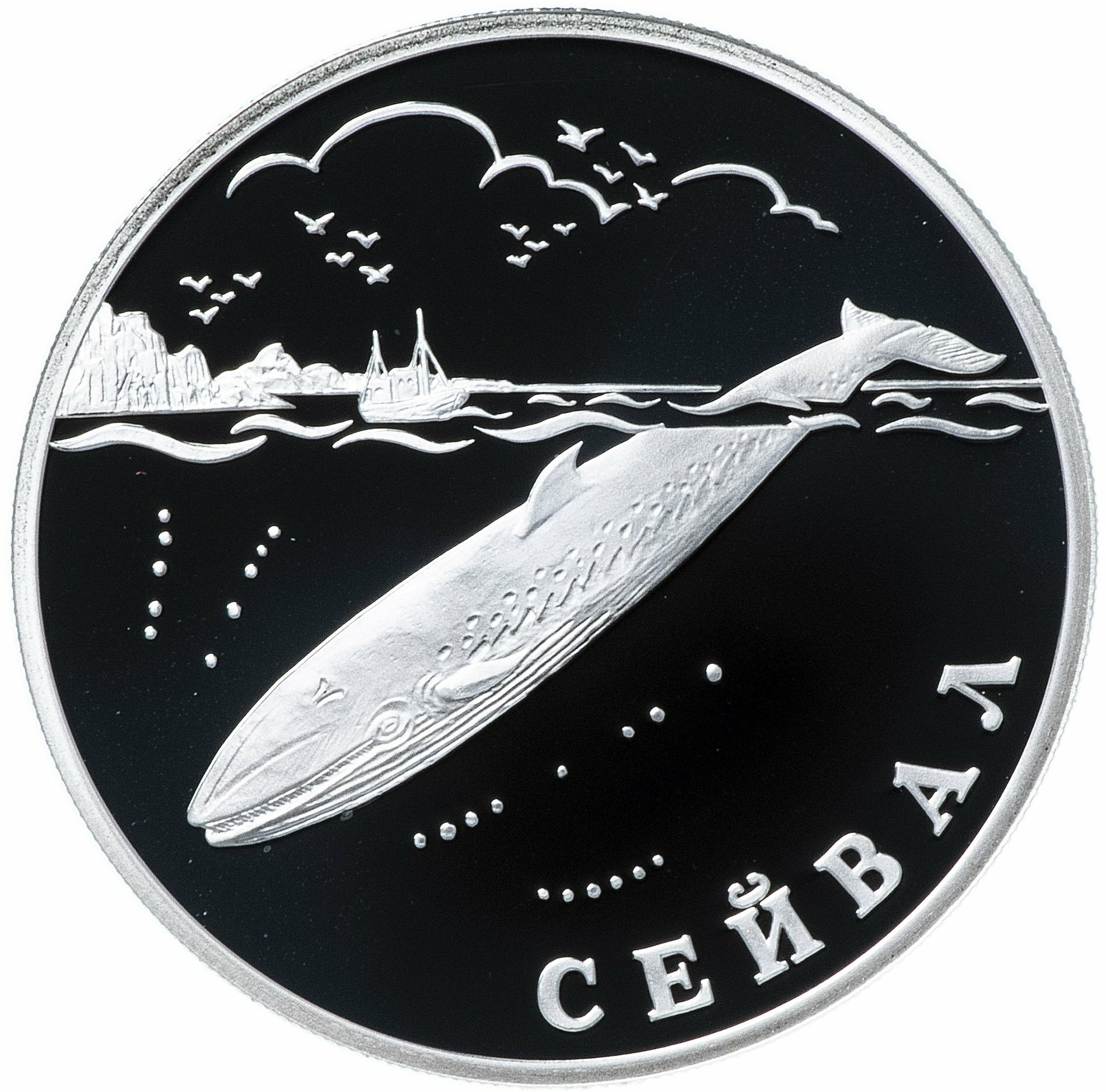 1 рубль 2002 СПМД Proof "Красная книга: сейвал кит", Серебро 900