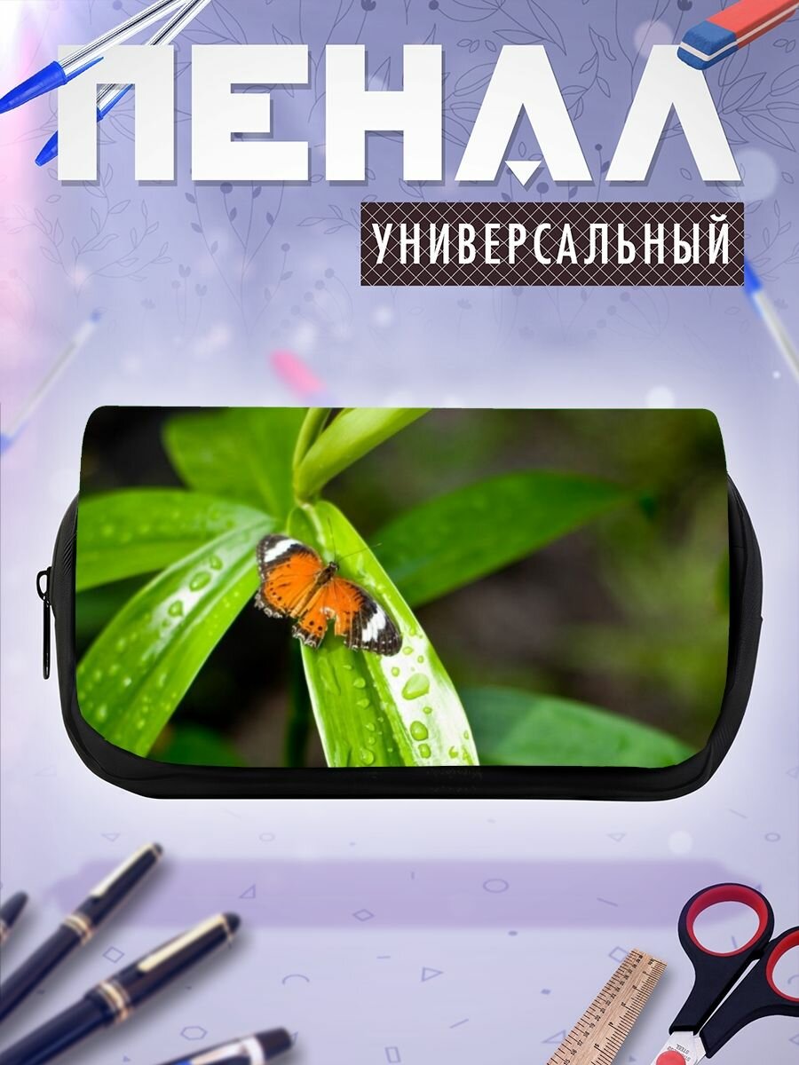 Школьный пенал насекомое растение