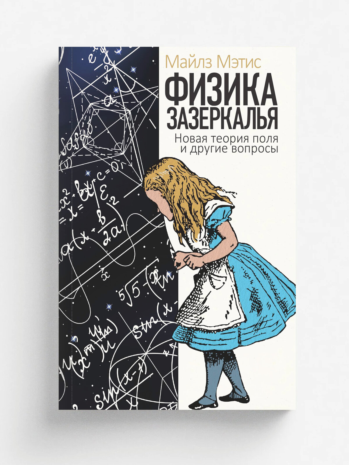Физика зазеркалья: Новая теория поля и другие вопросы