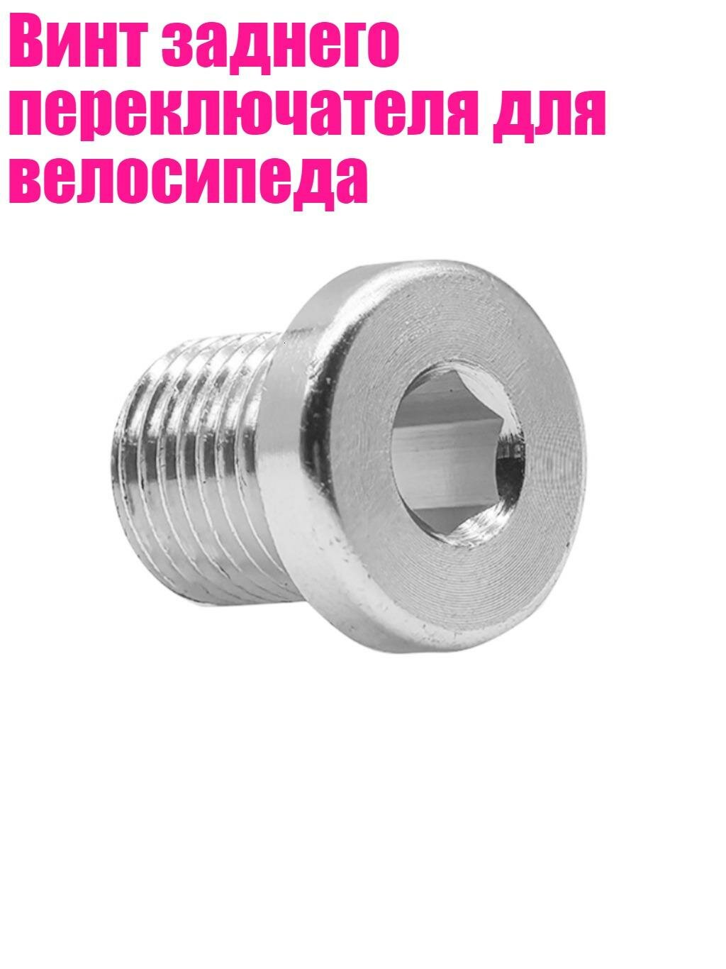 Винт заднего переключателя для велосипеда