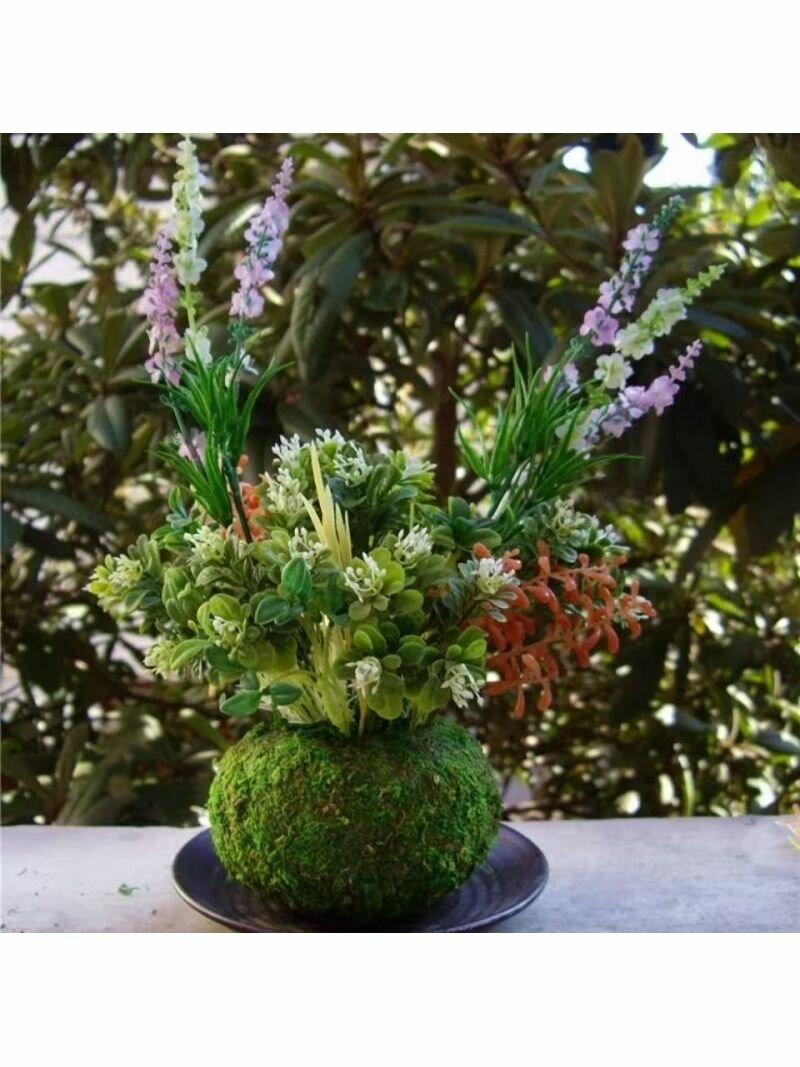 Креативный орнамент, зеленое растение, горшок для мха (двойное использование для аквариума и гидропоники) 12CM 1 штука