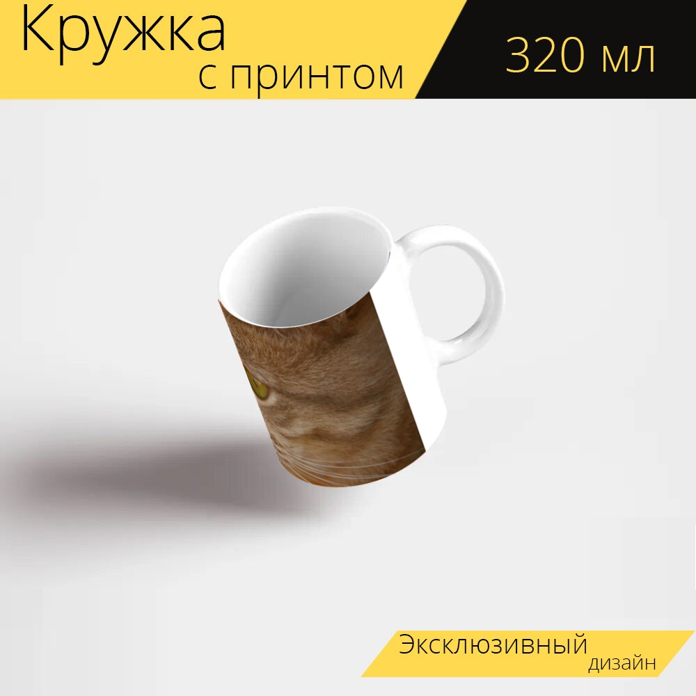 Кружка с рисунком, принтом "Кот, кошачьи глаза, морда кошки" 320 мл.