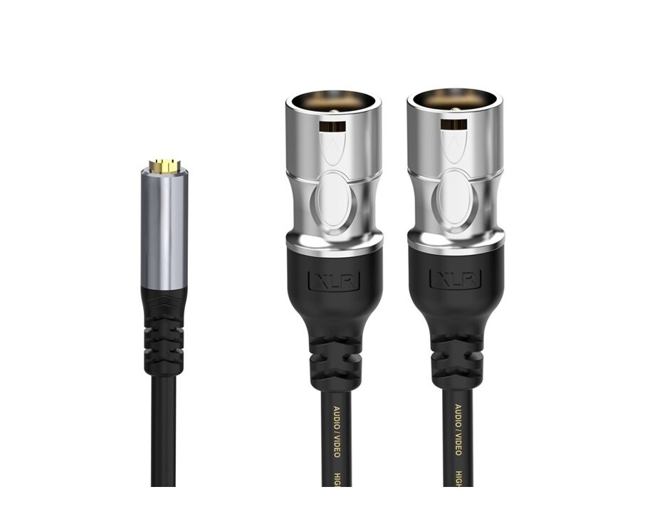 Переходник Live-Power S1303, от XLR (M) к Jack 3.5 (F), 0,3 м, черный