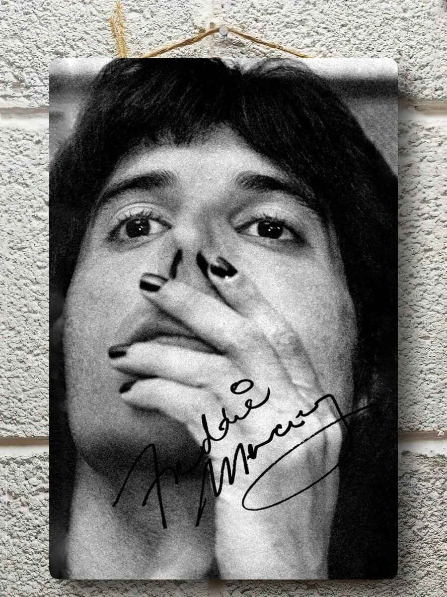 Freddie Mercury плакат металлический интерьерный на стену табличка 20 см х 30 см подарок гитаристу
