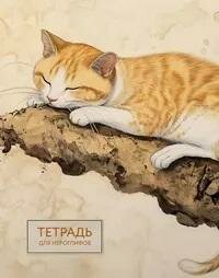 Книга "Тетрадь для иероглифов (рыжий котик)"