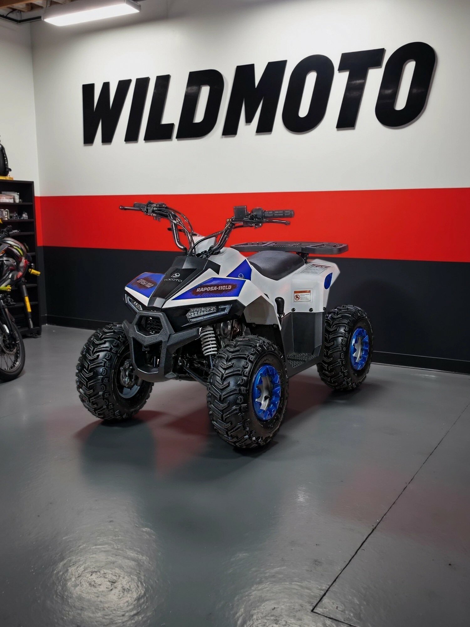 Квадроцикл YACOTA RAPOSA, 110 кубов, ❗45 км/ч, электростартер, ❗автоматическая трансмиссия ❗грузоподьемность 100кг