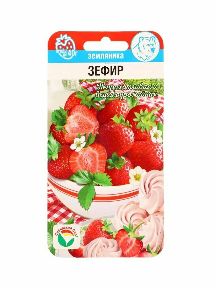 Семена Земляника Зефир , 10 шт, Сибирский сад