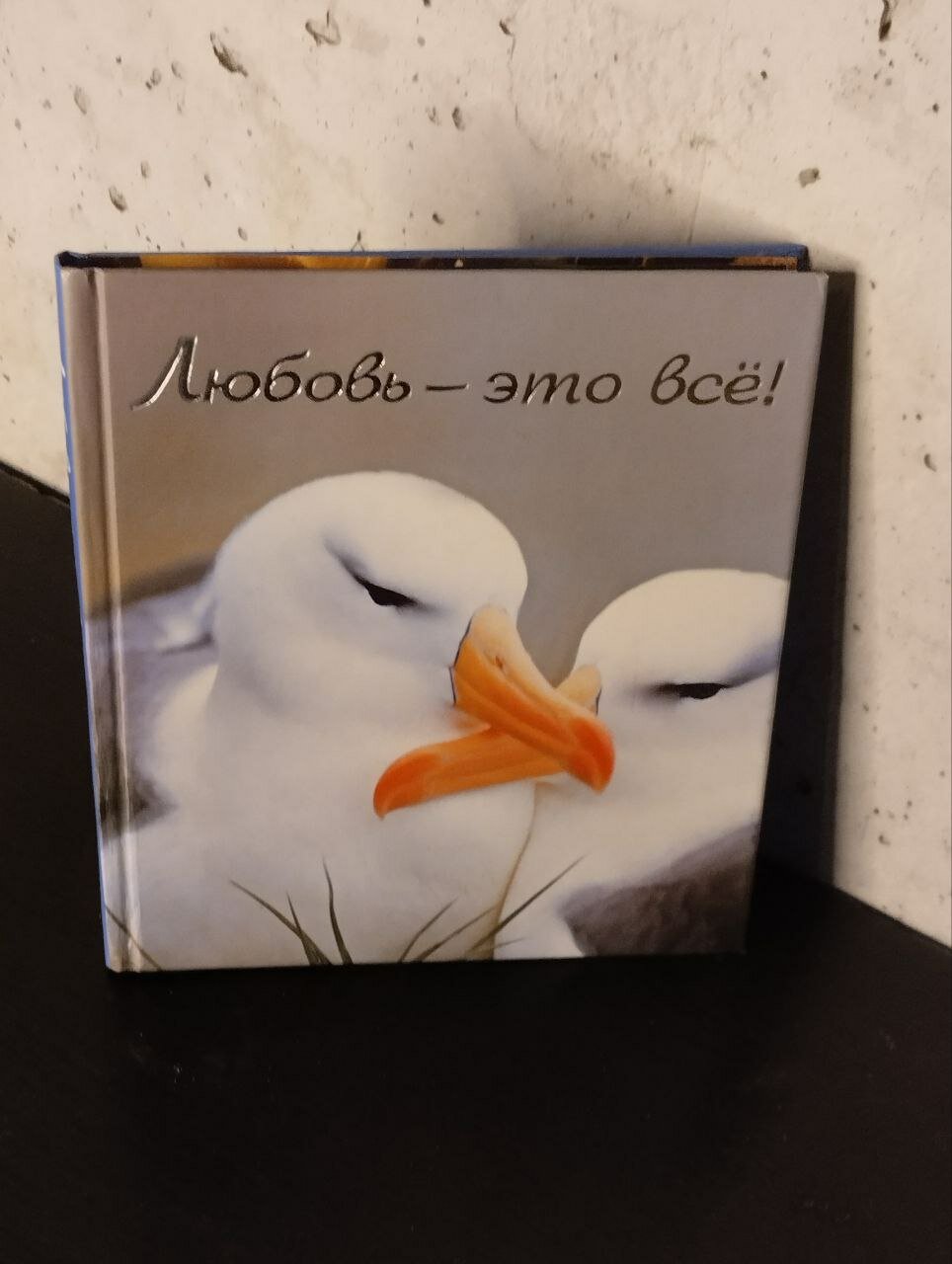 Любовь - это все