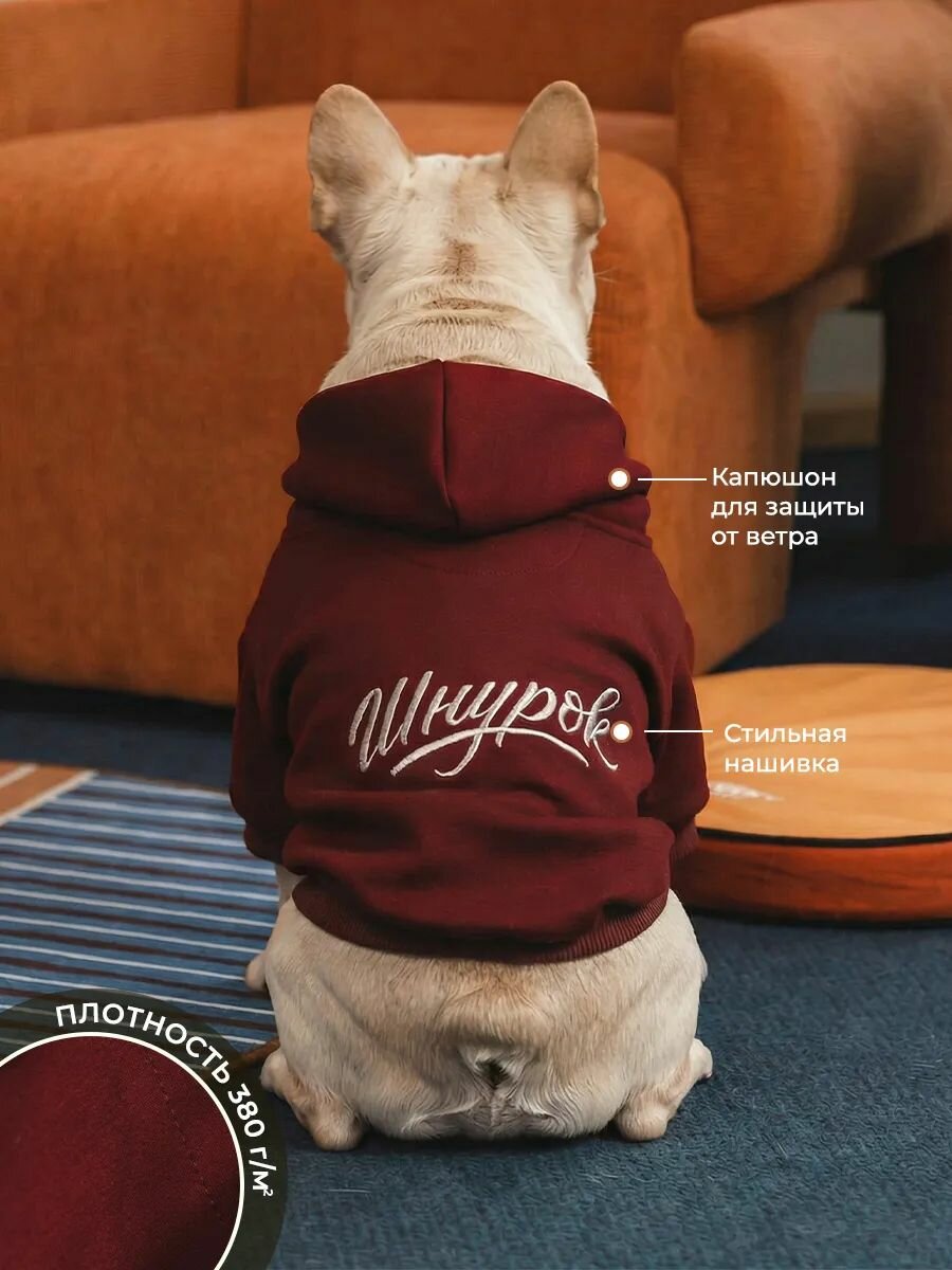 Одежда для собак кофта (французский бульдог)