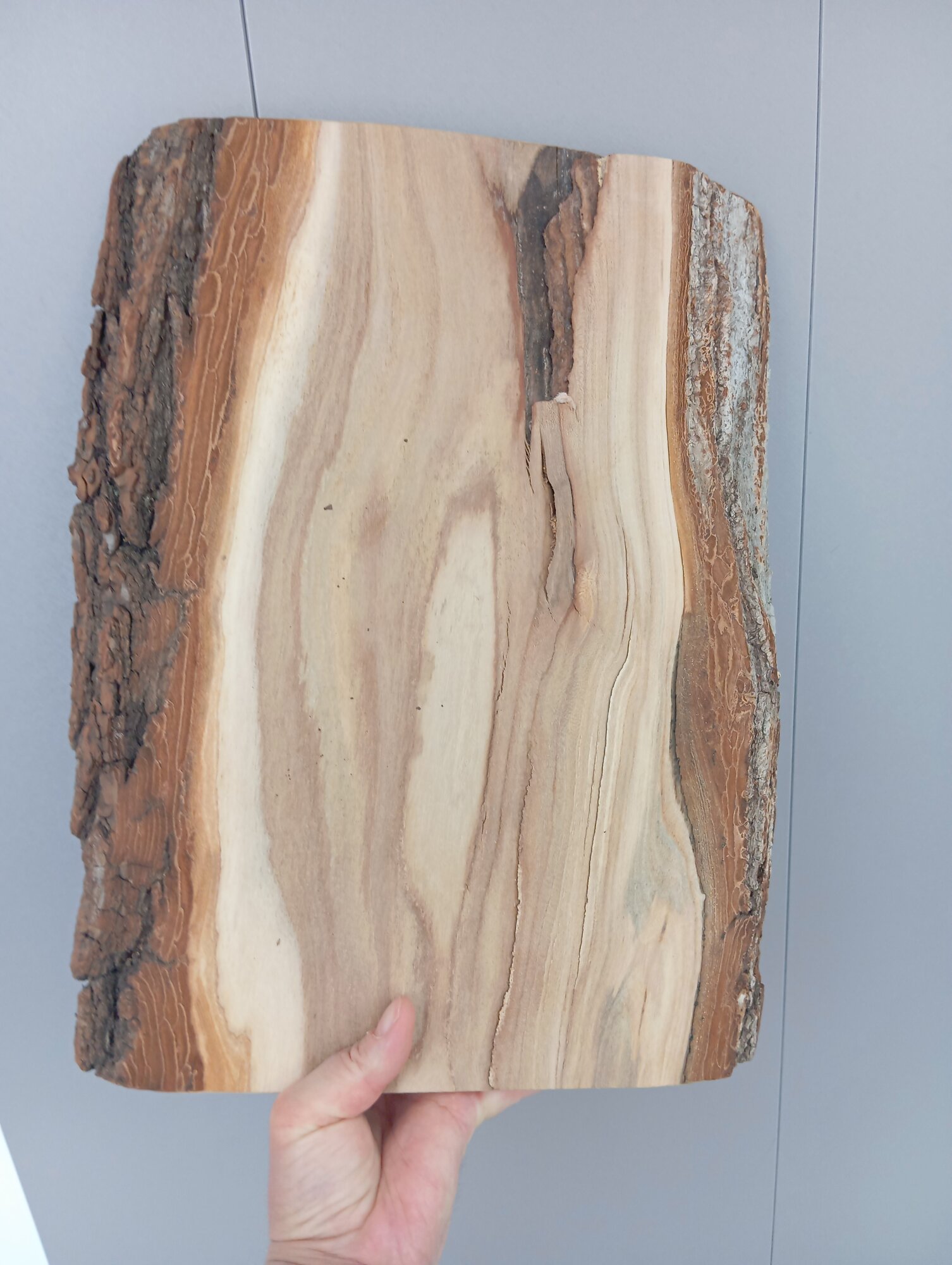 Спил дерева карагач, заготовка для поделок, доска 35*25*3,5см