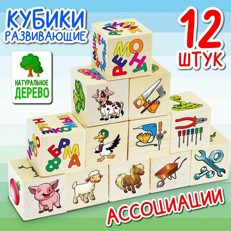 12 кубиков Ассоциации 1