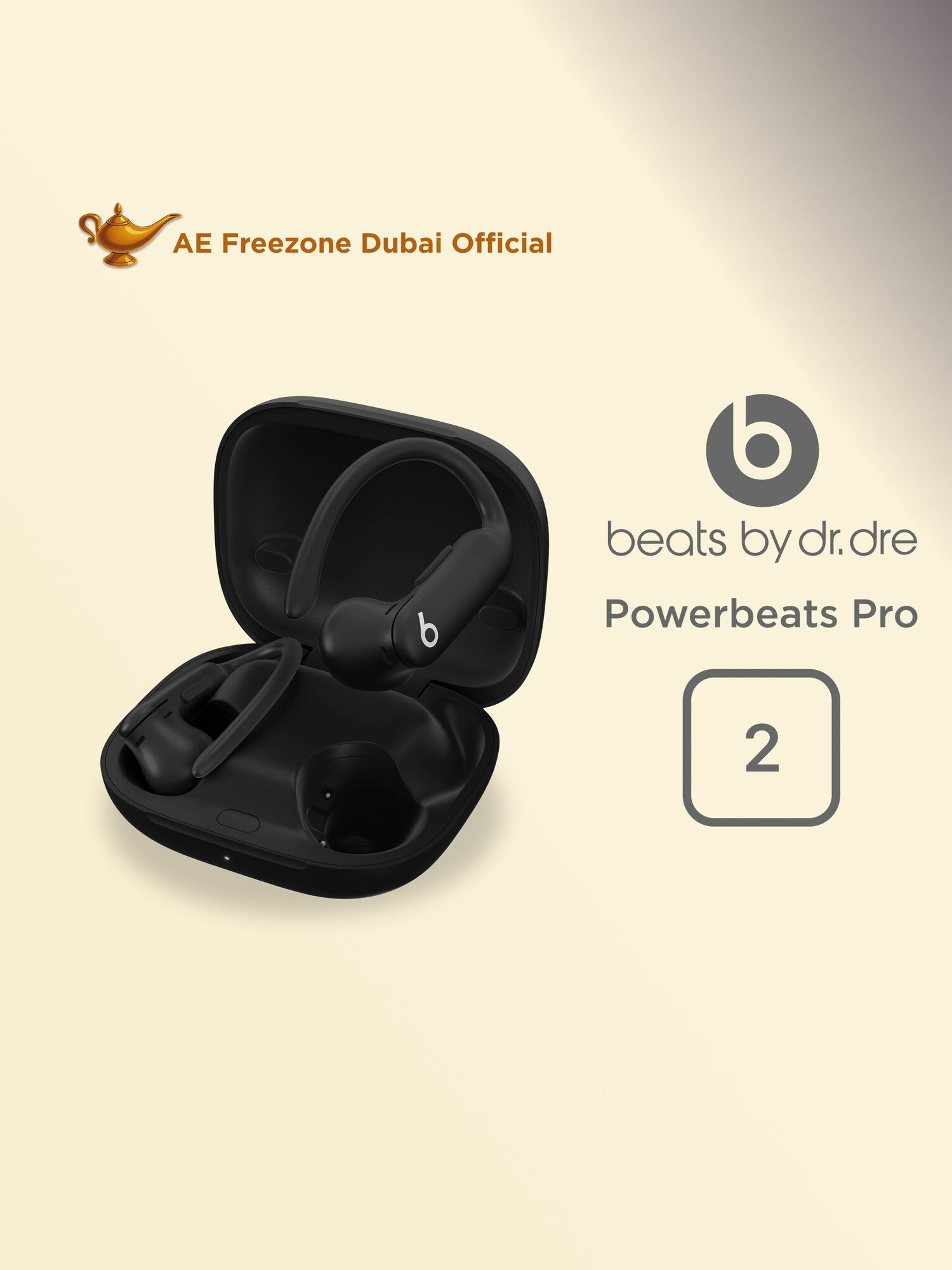 Беспроводные наушники Beats Powerbeats Pro 2, цвет Jet Black