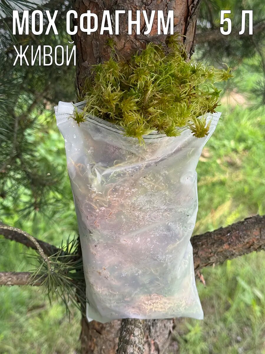 Живой мох сфагнум 5 л