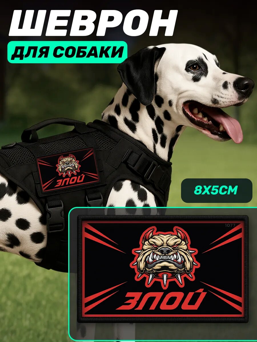 Шеврон на липучке для собак Злая собака