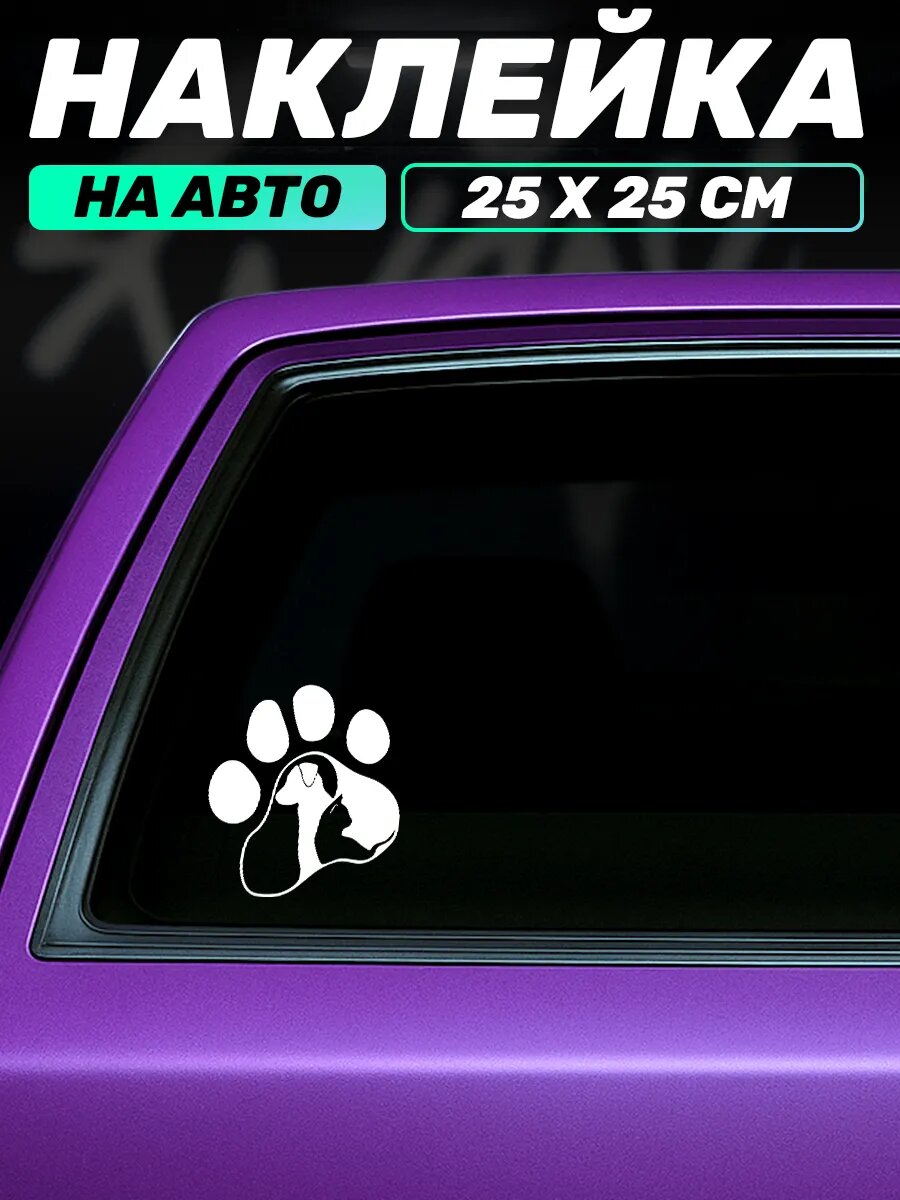 Наклейка на авто Животные в машине