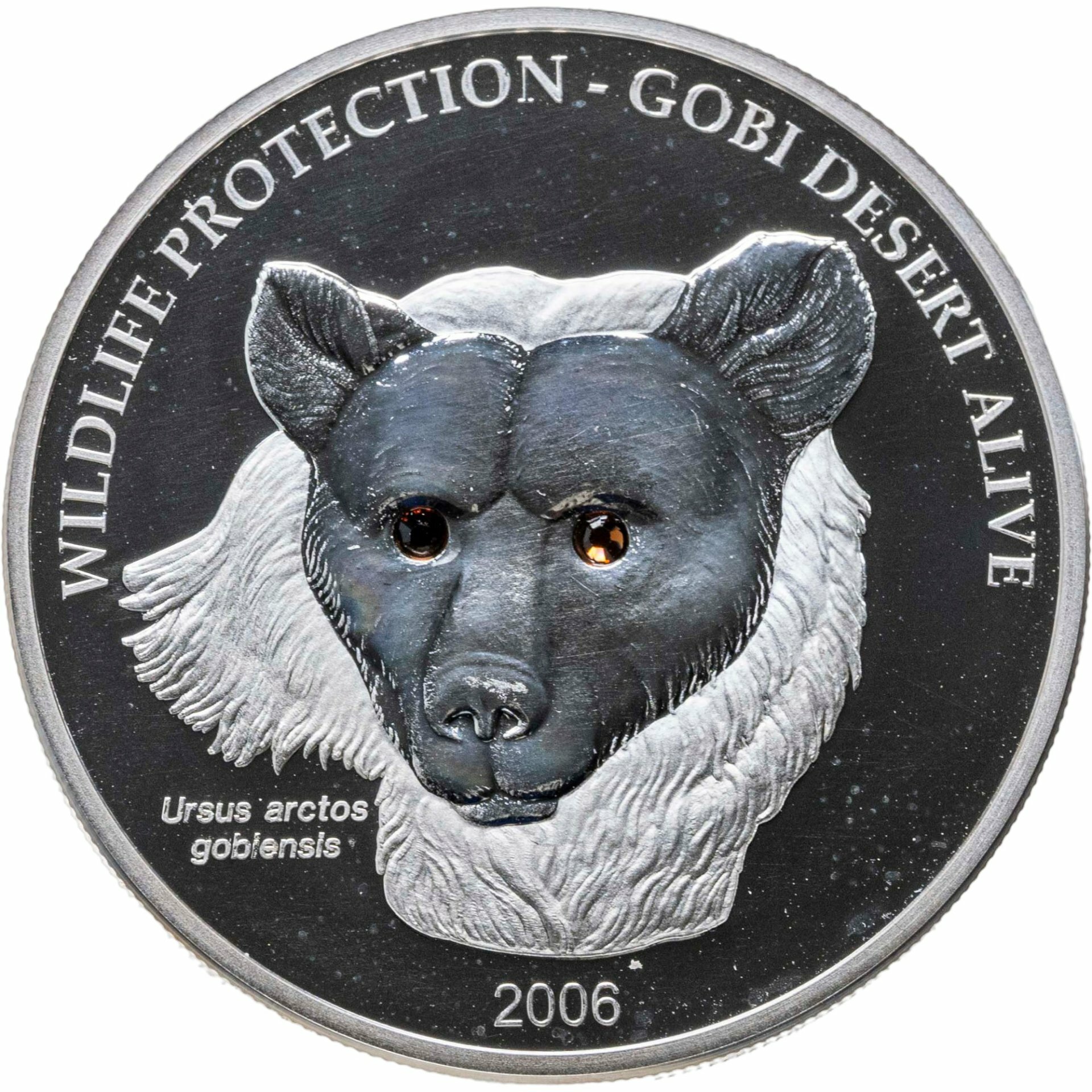 Монголия 500 тугриков 2006 "Гобийский бурый медведь Медведь пустыни Гоби", Серебро 925, в сохранности Proof