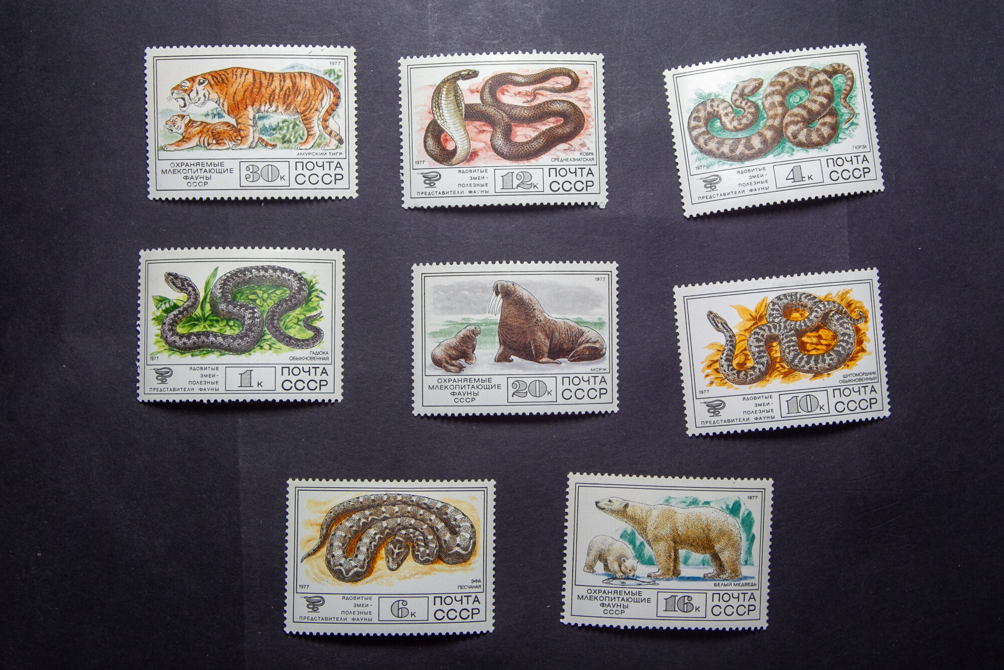 СССР 1977 Фауна СССР.