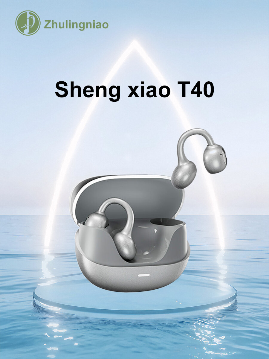 Zhulingniao Sheng Xiao T40 Беспроводные Bluetooth-наушники с заушными крючками серый
