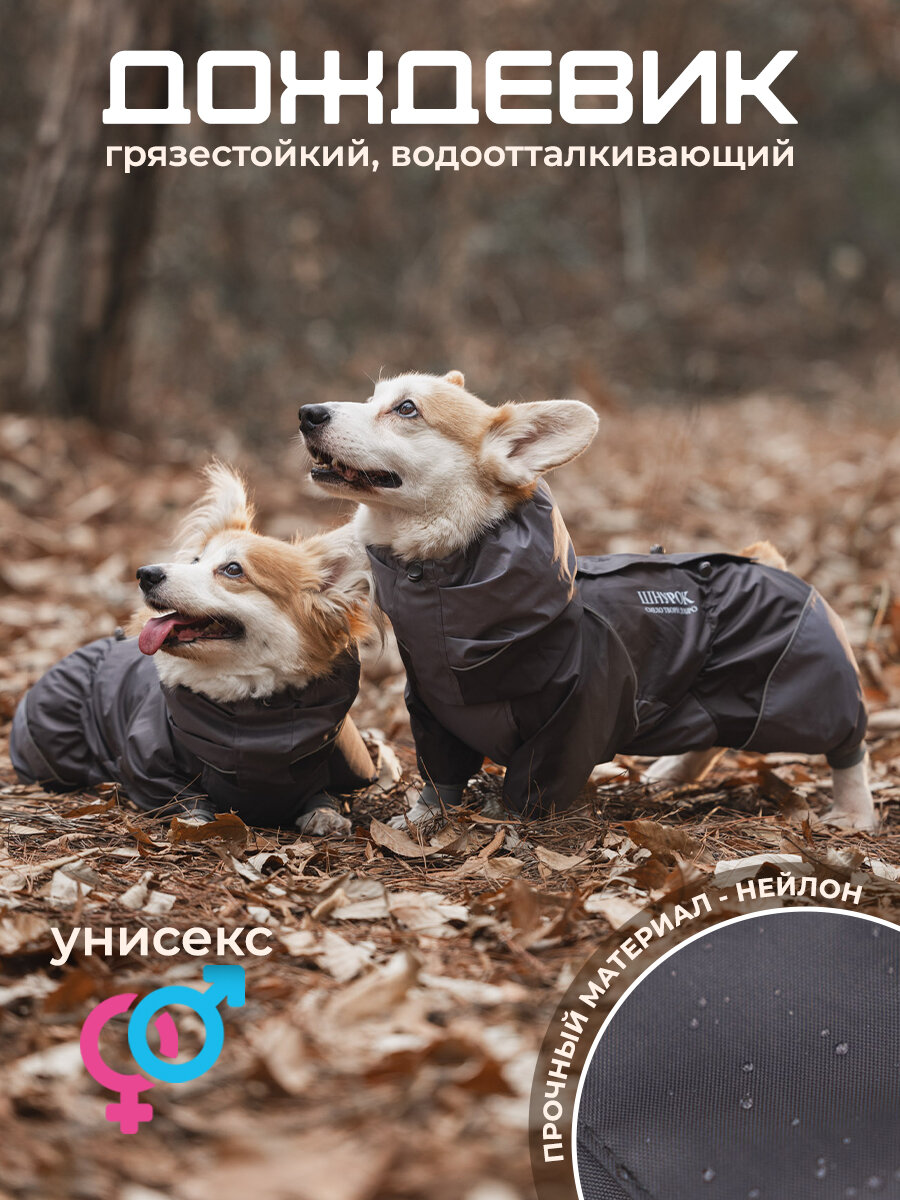 Дождевик для корги