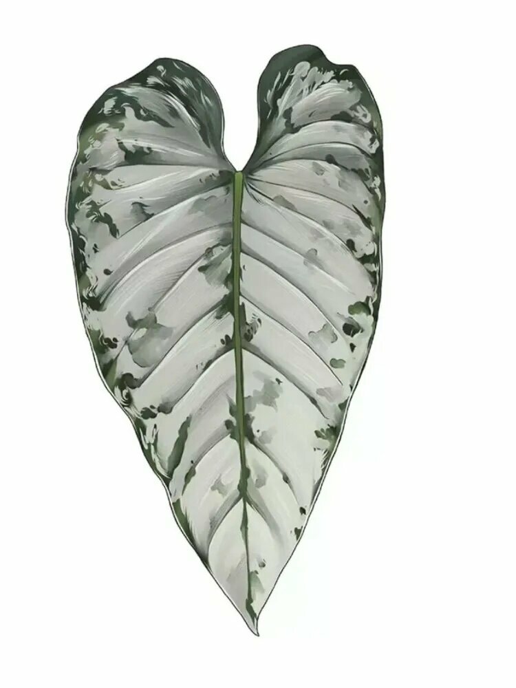 Магия Растений: Редкие тропические растения, креативные магниты на холодильник, декор для дома, серия растительных магнитов