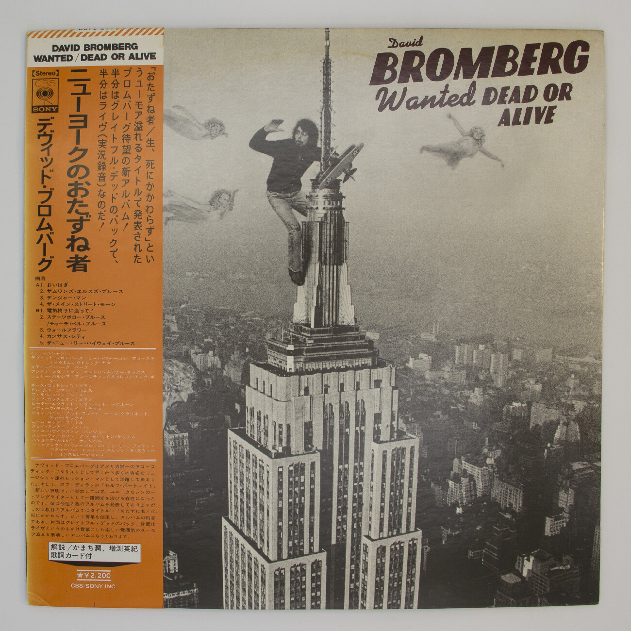 Виниловая пластинка David Bromberg - Wanted Dead Or Alive, 1xLP, EX