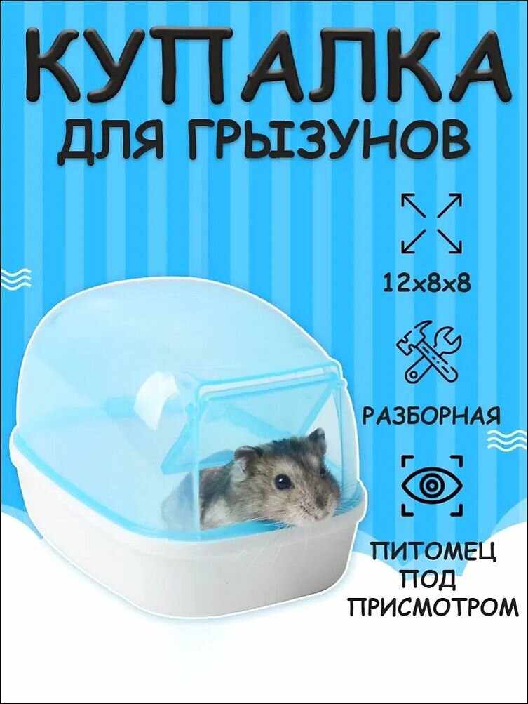 Купалка для мелких грызунов/Домик для хомяков, декоративных мышек/Туалет 12х8х8 см, цвет голубой