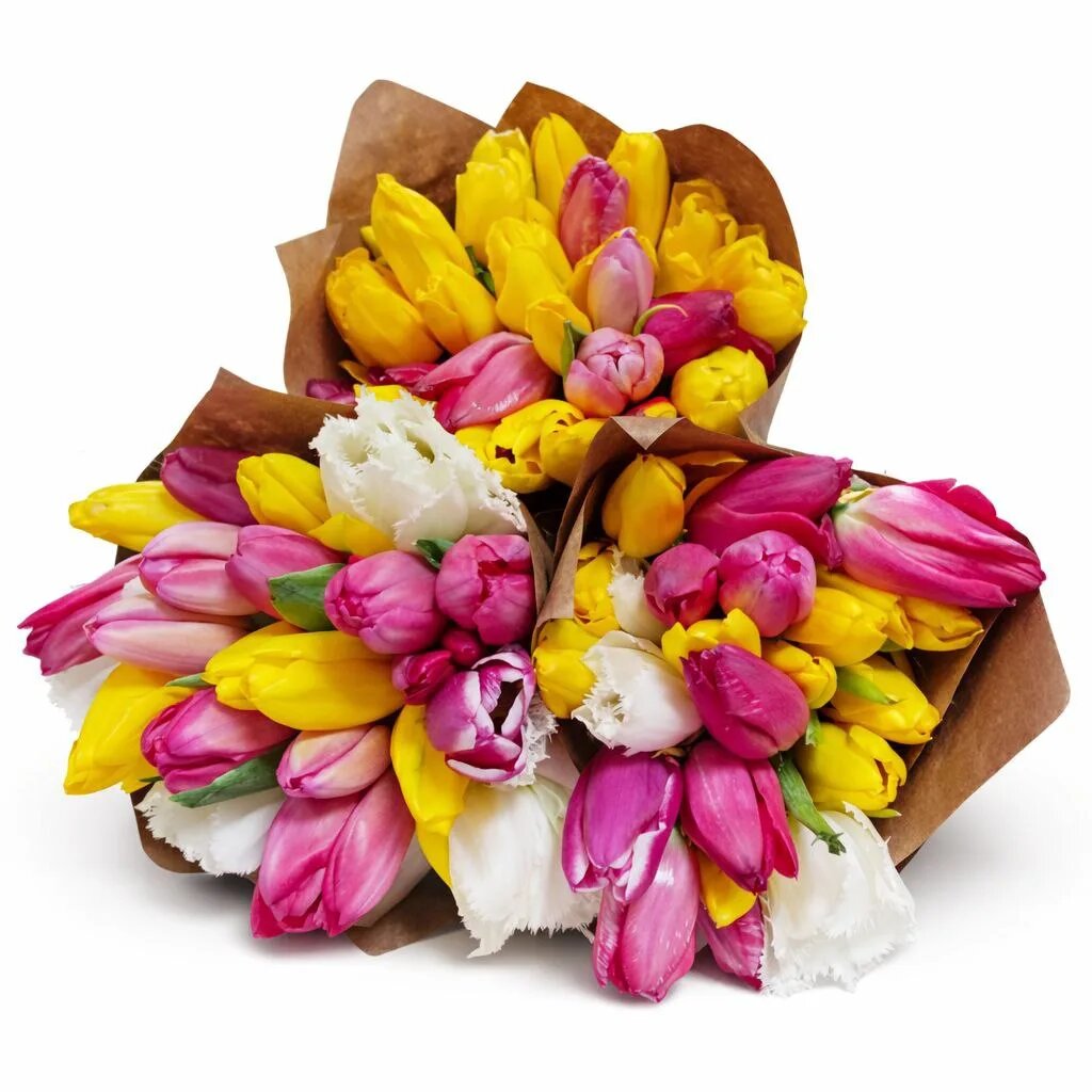 Букет из 25 микс-тюльпанов в крафте: Весенний калейдоскоп для настроения