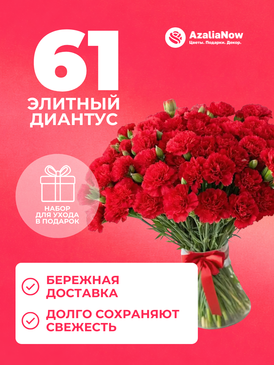 Букет из 61 красных гвоздик, Диантус, Голландия от АзалияНау