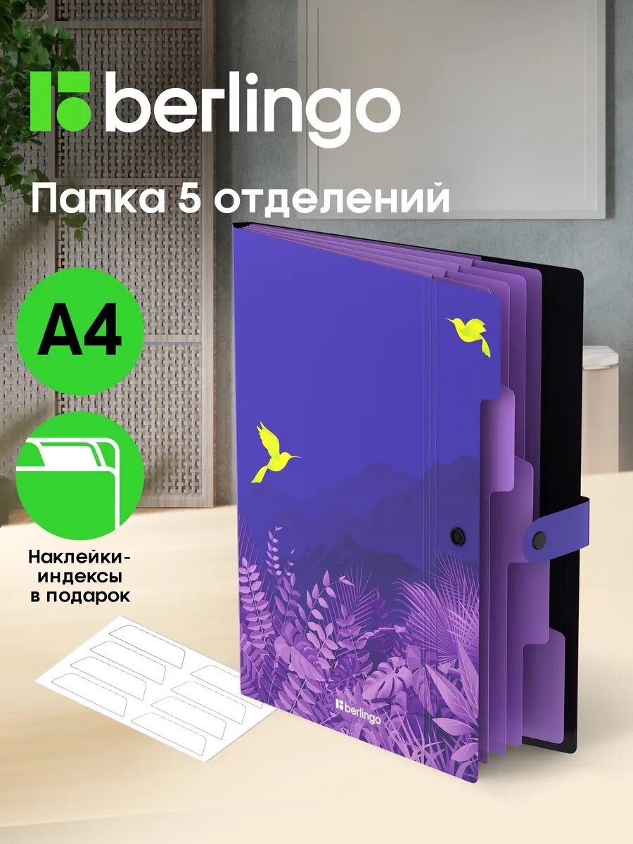 Папка органайзер для документов А4, Berlingo "Flower Art", семейная, 600 мкм, на кнопке