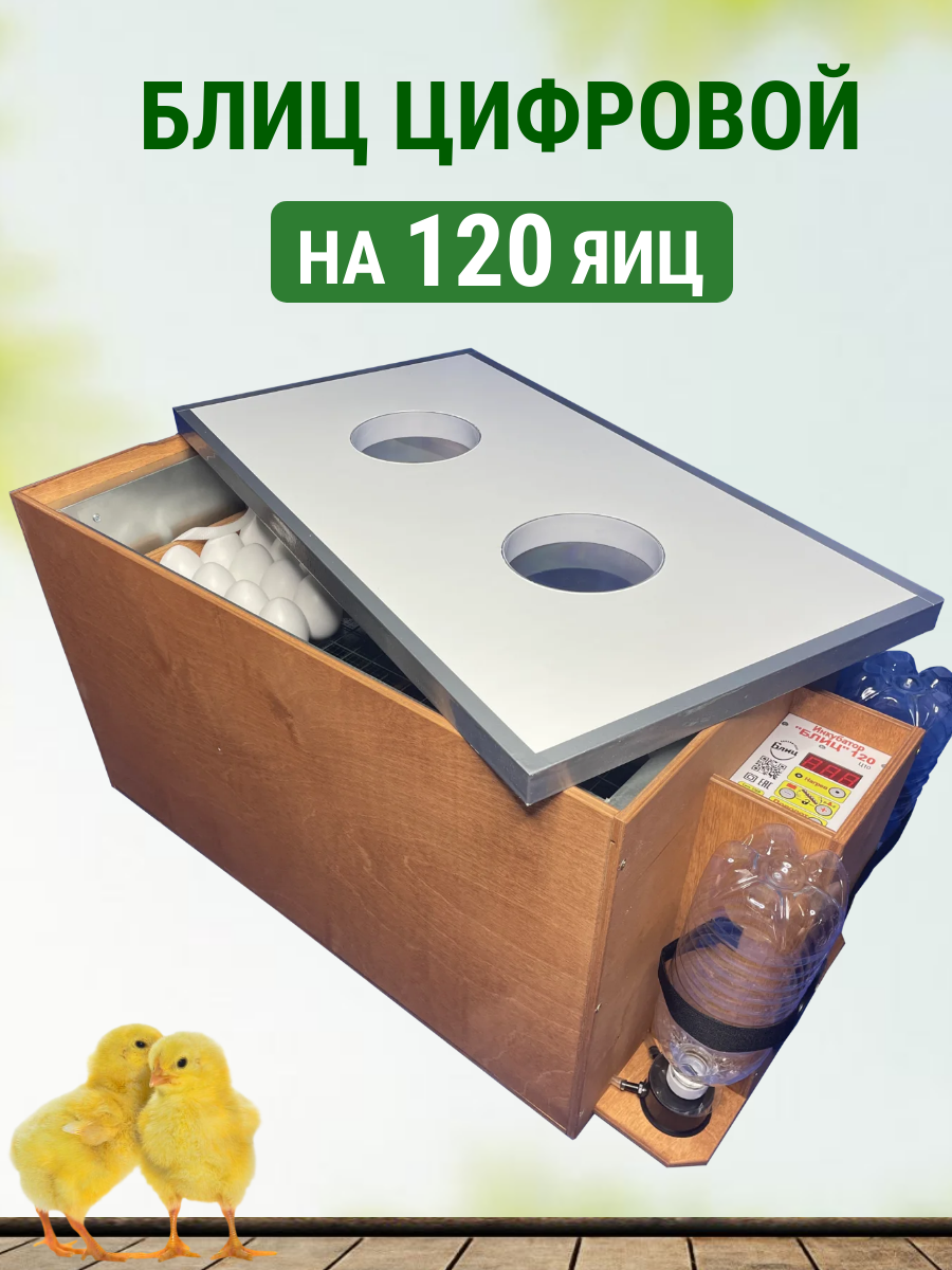 Инкубатор Блиц на 120 яиц цифровой, автоматический, питание 220/12 В