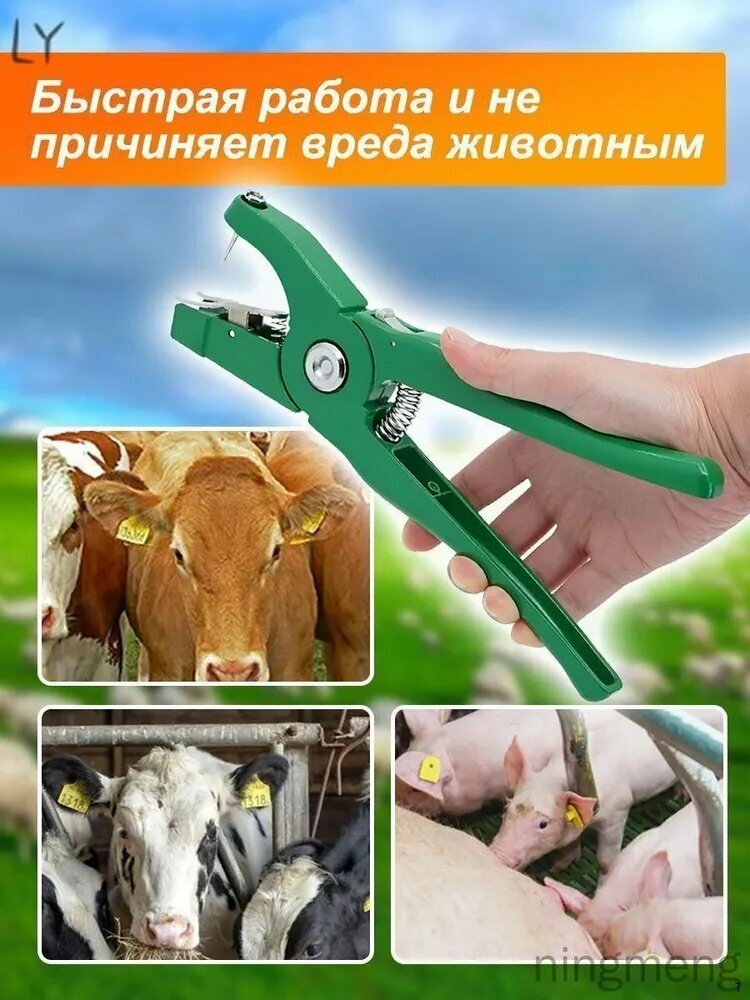 Биркач