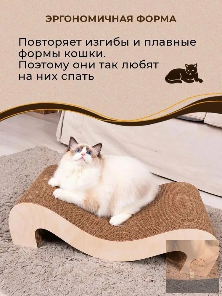 Когтеточка — фото 1