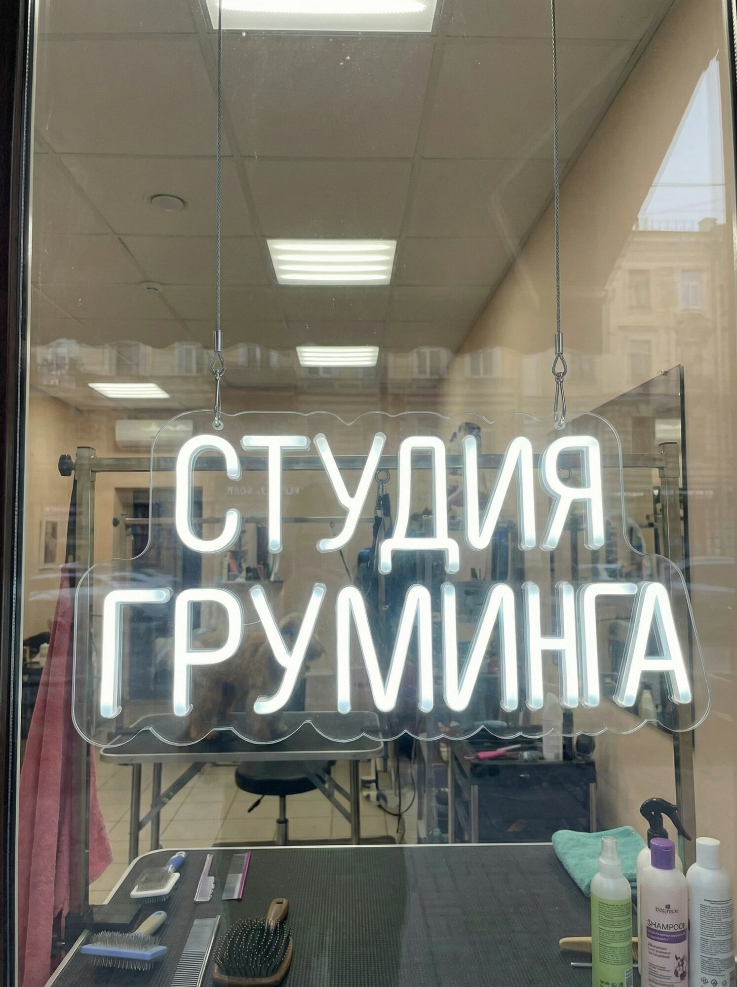 Неоновая вывеска "студия груминга" 80х42 см, неоновая надпись, LED светильник для груминг-салона, зоосалона