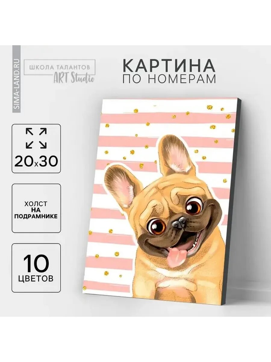 Красочная картина по номерам «Мопс» 20х30 см